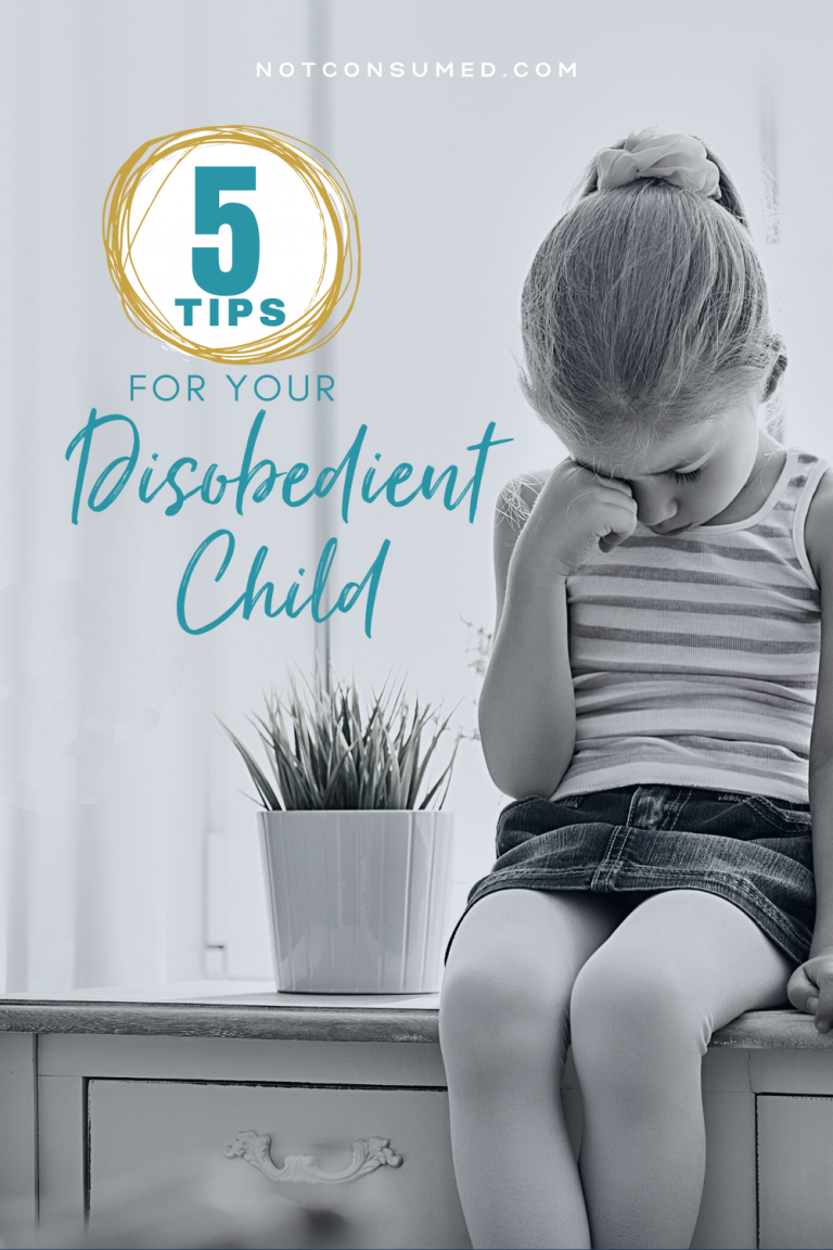 5 Tips for Your Disobedient Child (Encouragement for Parents)