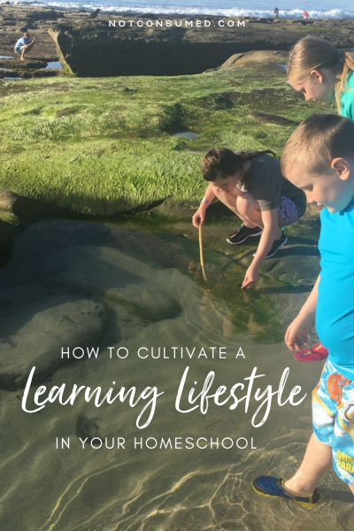 How to Cultivate a Learning Lifestyle in Your Homeschool