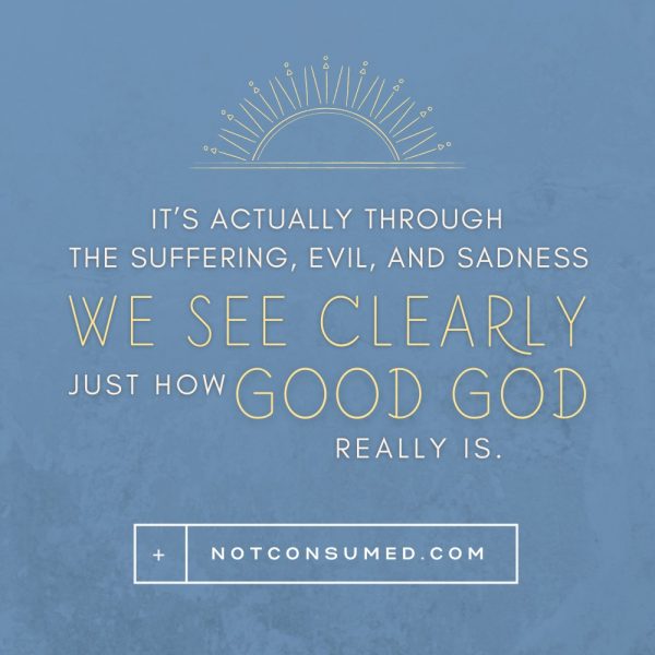 Lessons Learned From the Dandelion Thorns in Life