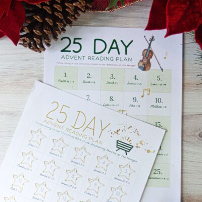 Kid Advent Calendars - Ideas and Free Printable Reading Plans