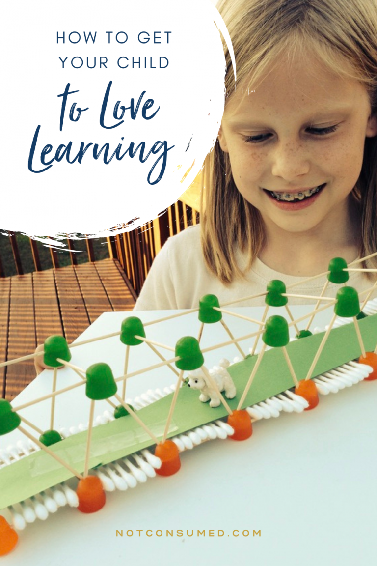 How to Get Your Child to Love Learning | Not Consumed