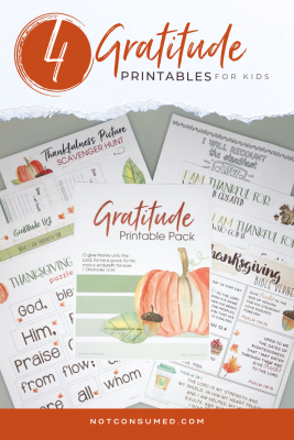 Thanksgiving Printables for Kids (4 Free Printables)