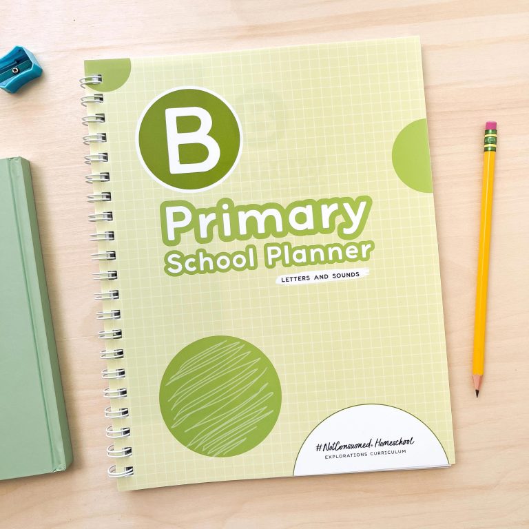 Everything You Need to Know About Kindergarten Homeschool Curriculum ...