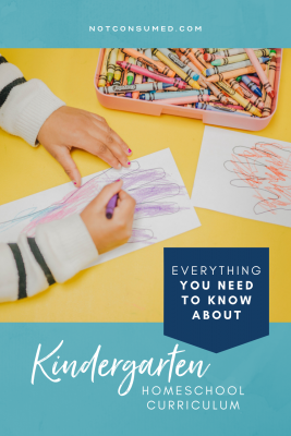Everything You Need to Know About Kindergarten Homeschool Curriculum ...