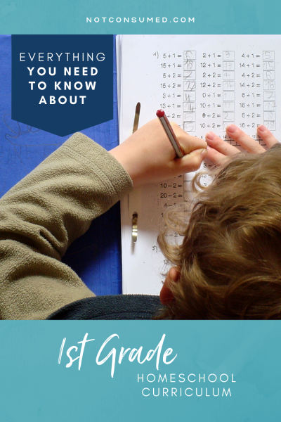 What You Need To Know About 1ST Grade Homeschool Curriculum