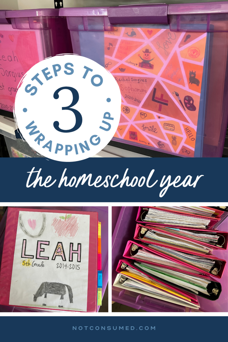 3 Steps to Wrapping Up the School Year | Homeschool Guide