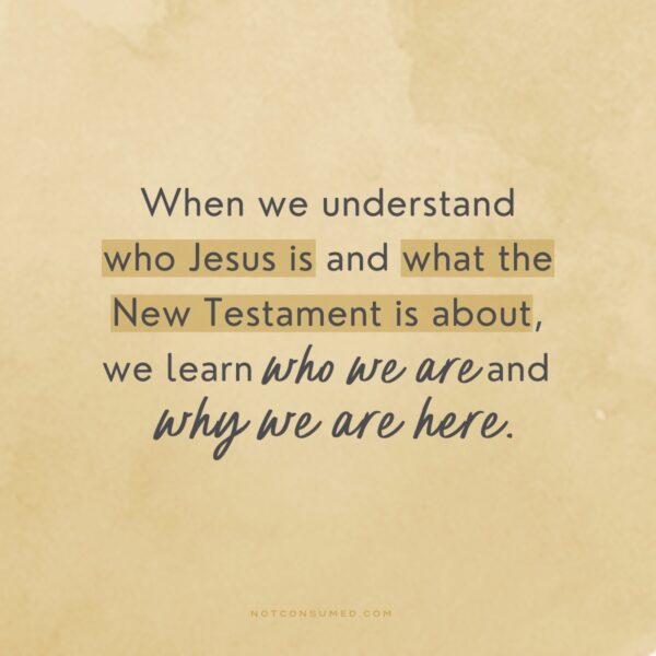4 Easy Ways to Help Kids See the Full Story of the New Testament